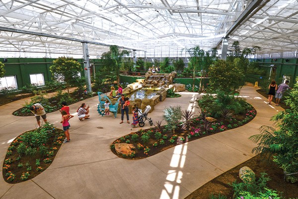 Visit Butterfly Wonderland Indoor Butterfly Conservatory