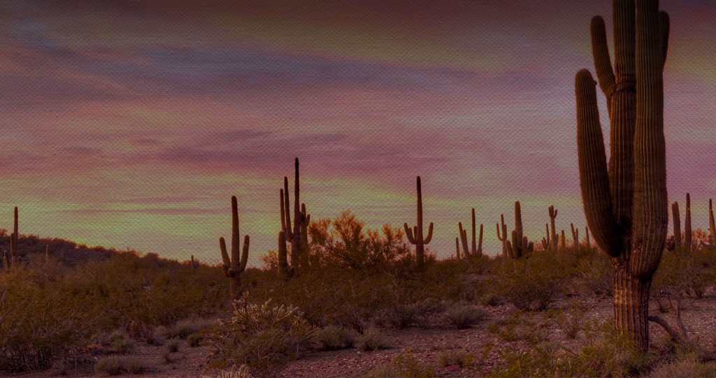 Explore The Cultural Heritage of the Salt River Indian Community