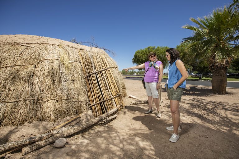 Salt River AZ: Top 10 Things to Do in Arizona