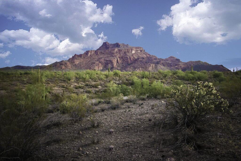 Salt River Pima Maricopa Indian Community History & Culture