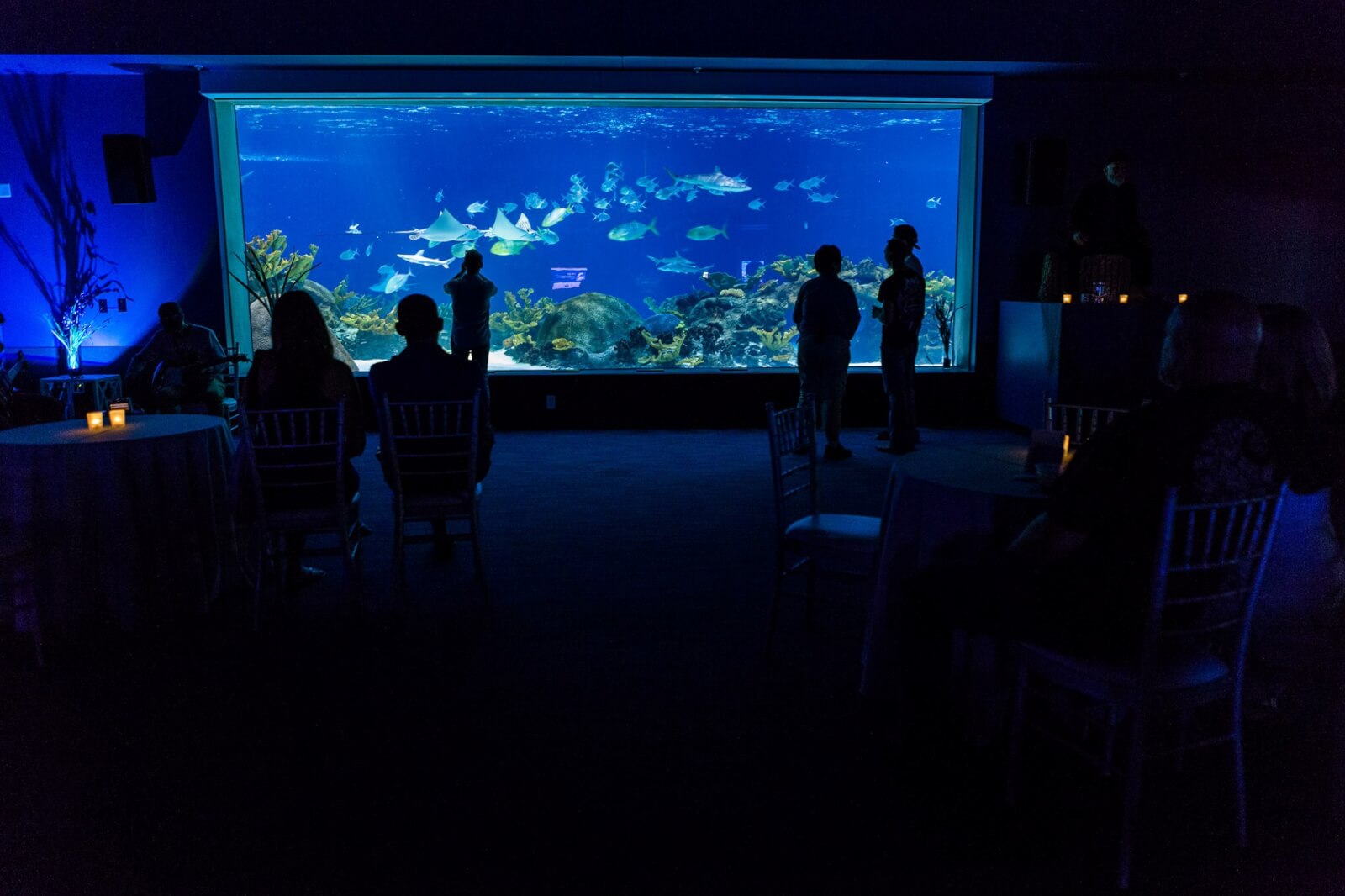 Salt River Events: Exciting Events at Salt River Reservation